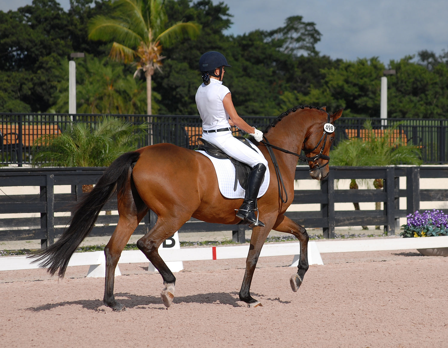 Achieving a steady hand contact with 3 fun exercises – EQUISK